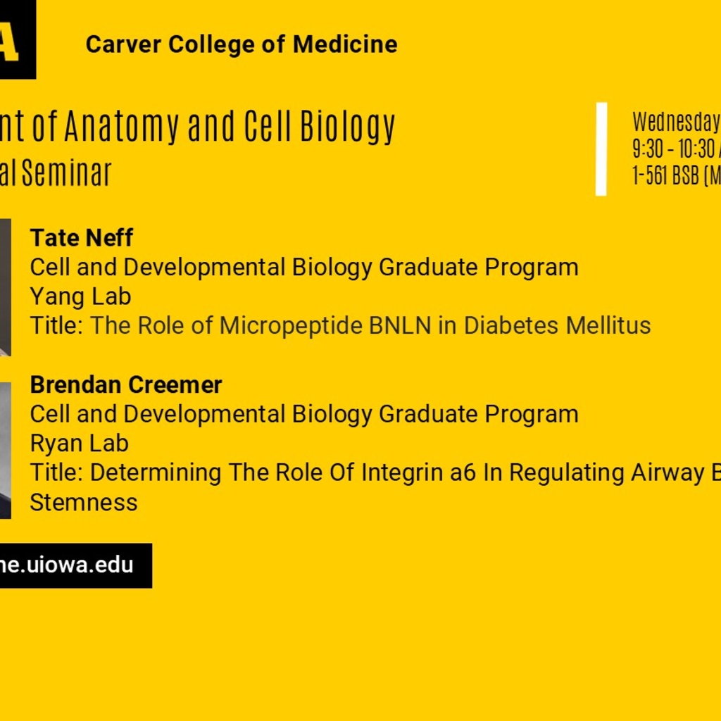 ACB Seminar Series - Tate Neff and Brendan Creemer | Iowa Institute of ...